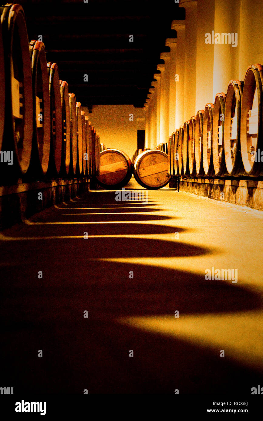 Wooden wine casks in wine cellar Stock Photo - Alamy