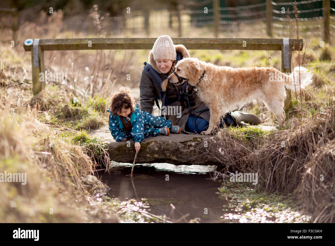Dog poo in north yorkshire hi-res stock photography and images - Alamy