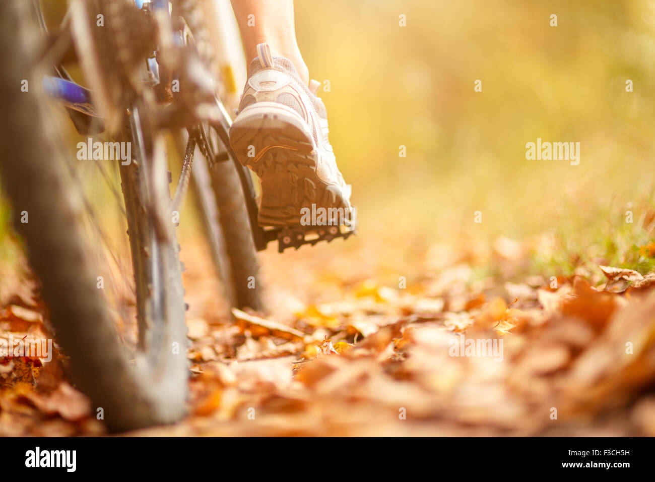 Treadle bicycle hi-res stock photography and images - Alamy