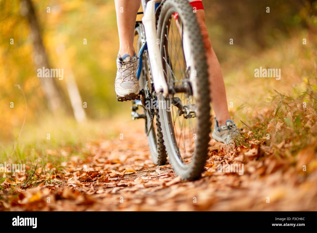 Side view stopped hi-res stock photography and images - Alamy