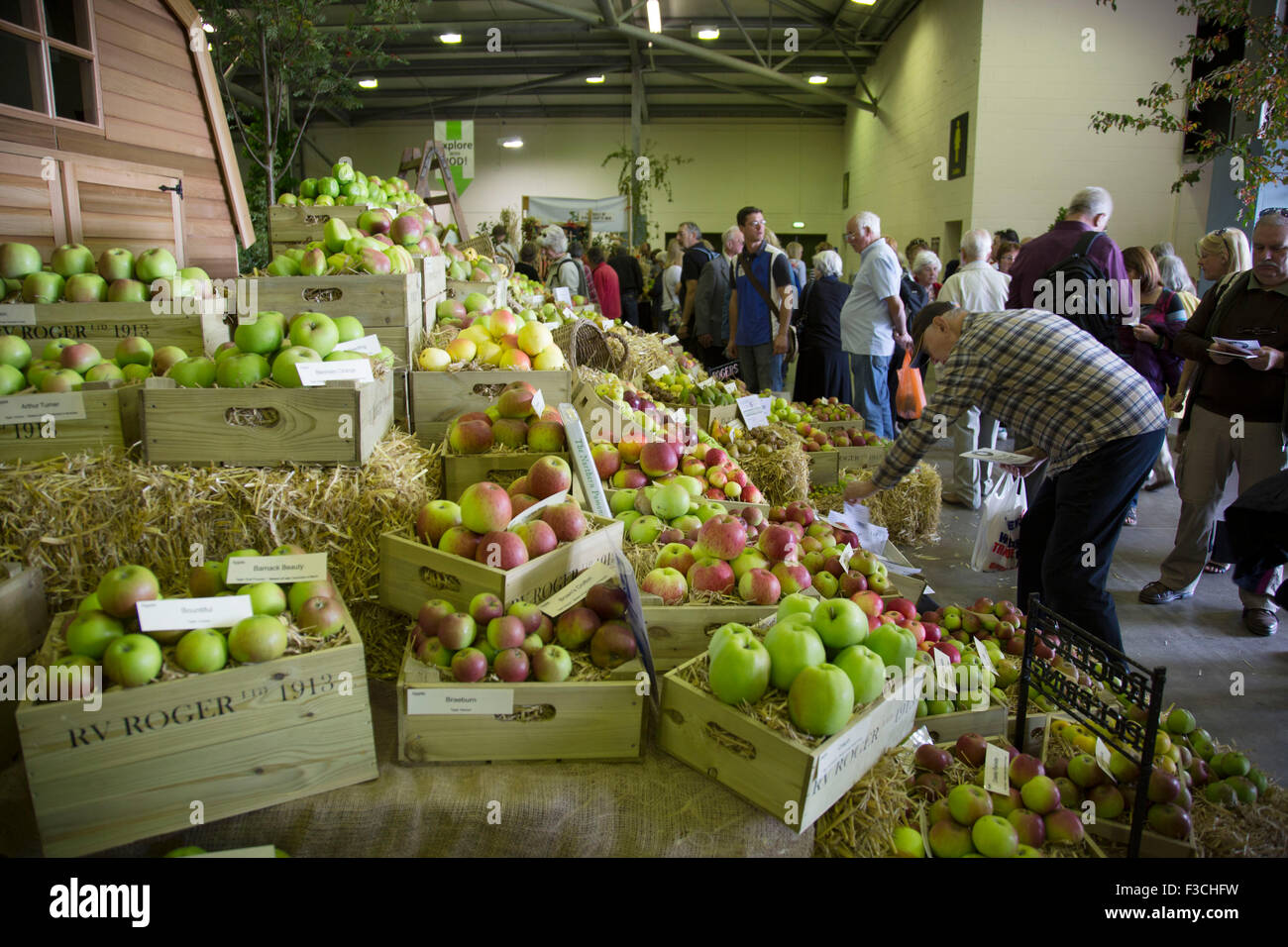 Harrogate Flower Show, North Yorkshire, England, UK. Part of the ...