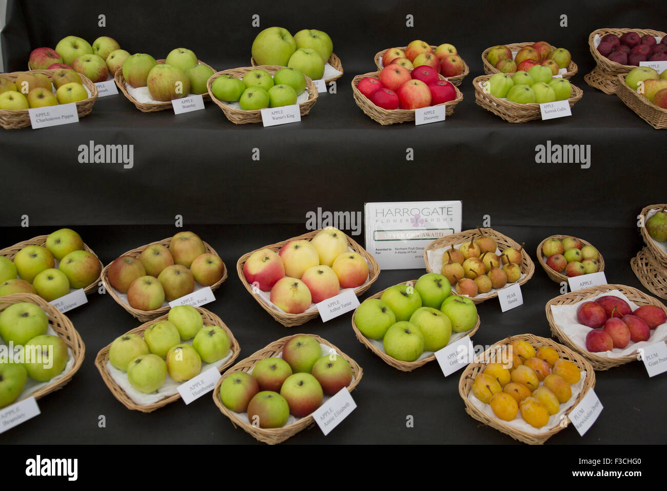 Harrogate Flower Show, North Yorkshire, England, UK. Part of the ...