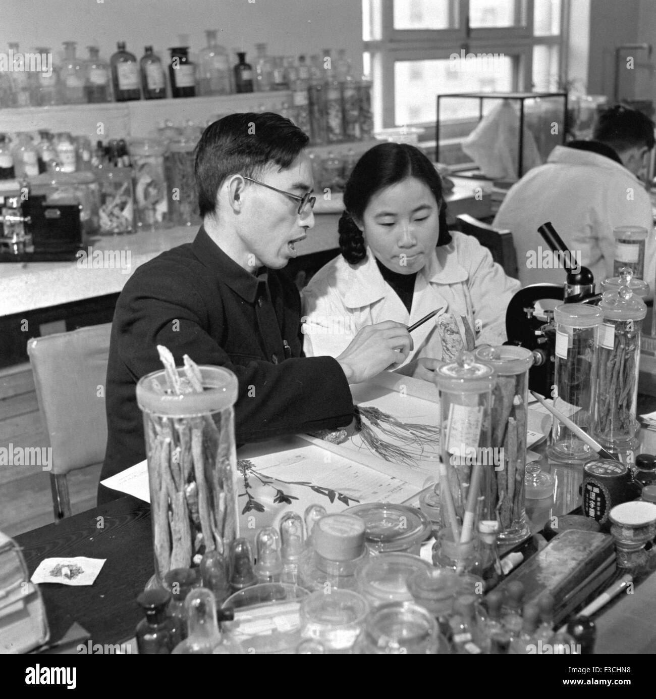 File working Black and White Stock Photos & Images - Alamy