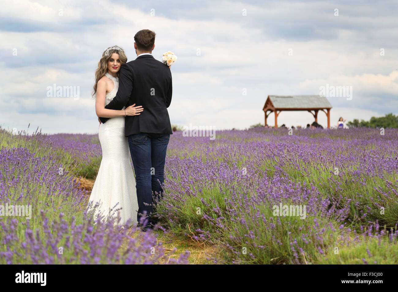 Couple Lavender High Resolution Stock Photography and Images - Alamy