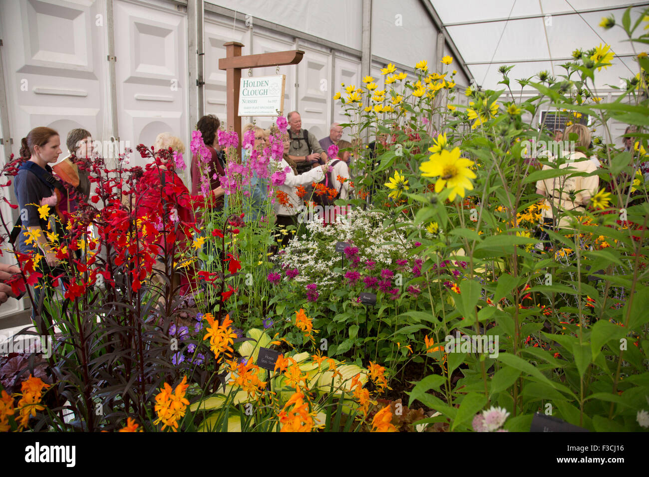 Harrogate Flower Show, North Yorkshire, England, UK. The Plant Pavilion ...