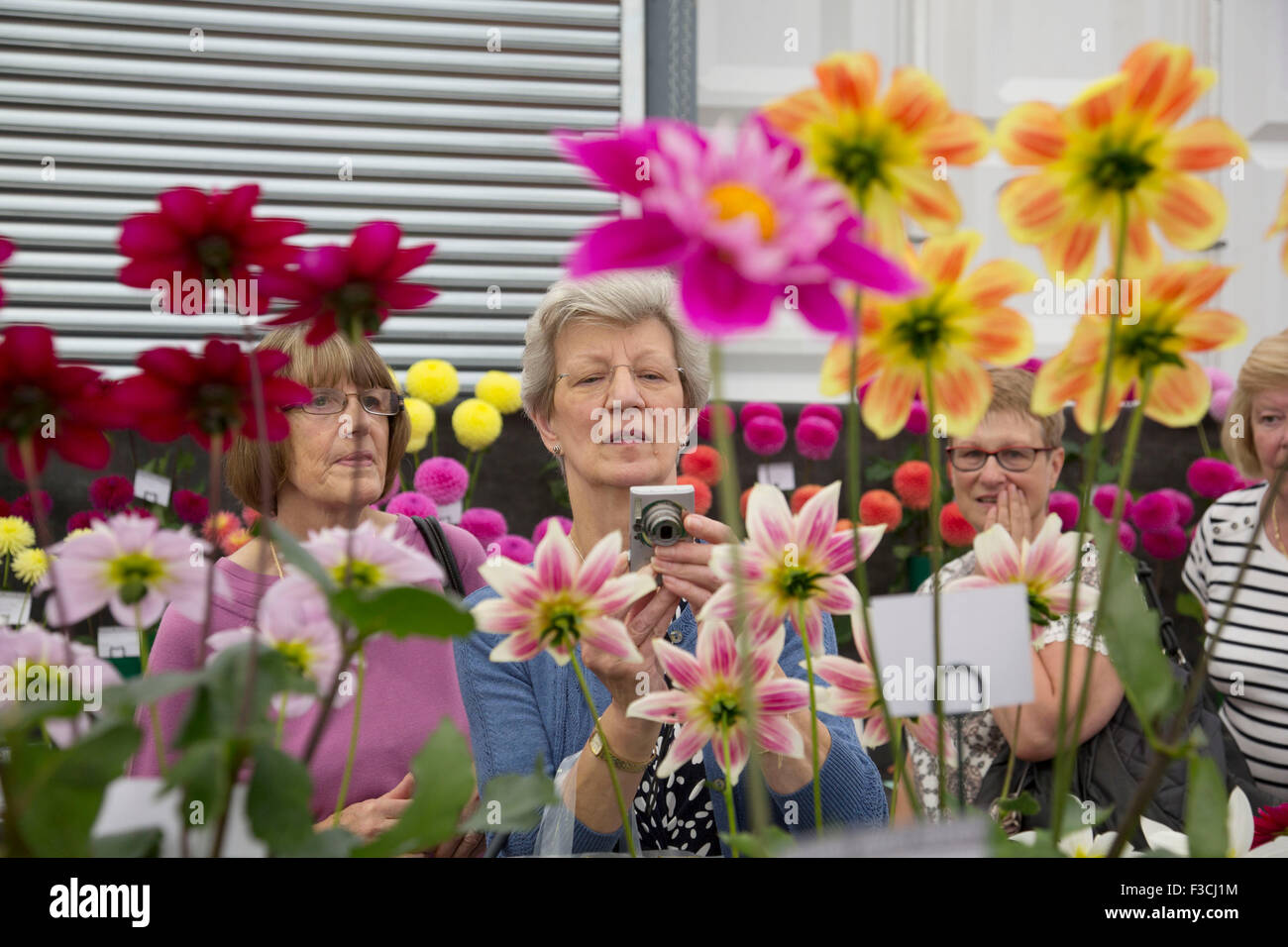 Harrogate Flower Show, North Yorkshire, England, UK. The Plant Pavilion ...