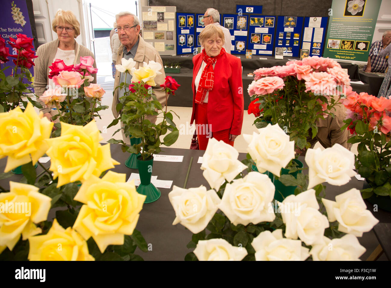 Harrogate Flower Show, North Yorkshire, England, UK. The Plant Pavilion ...