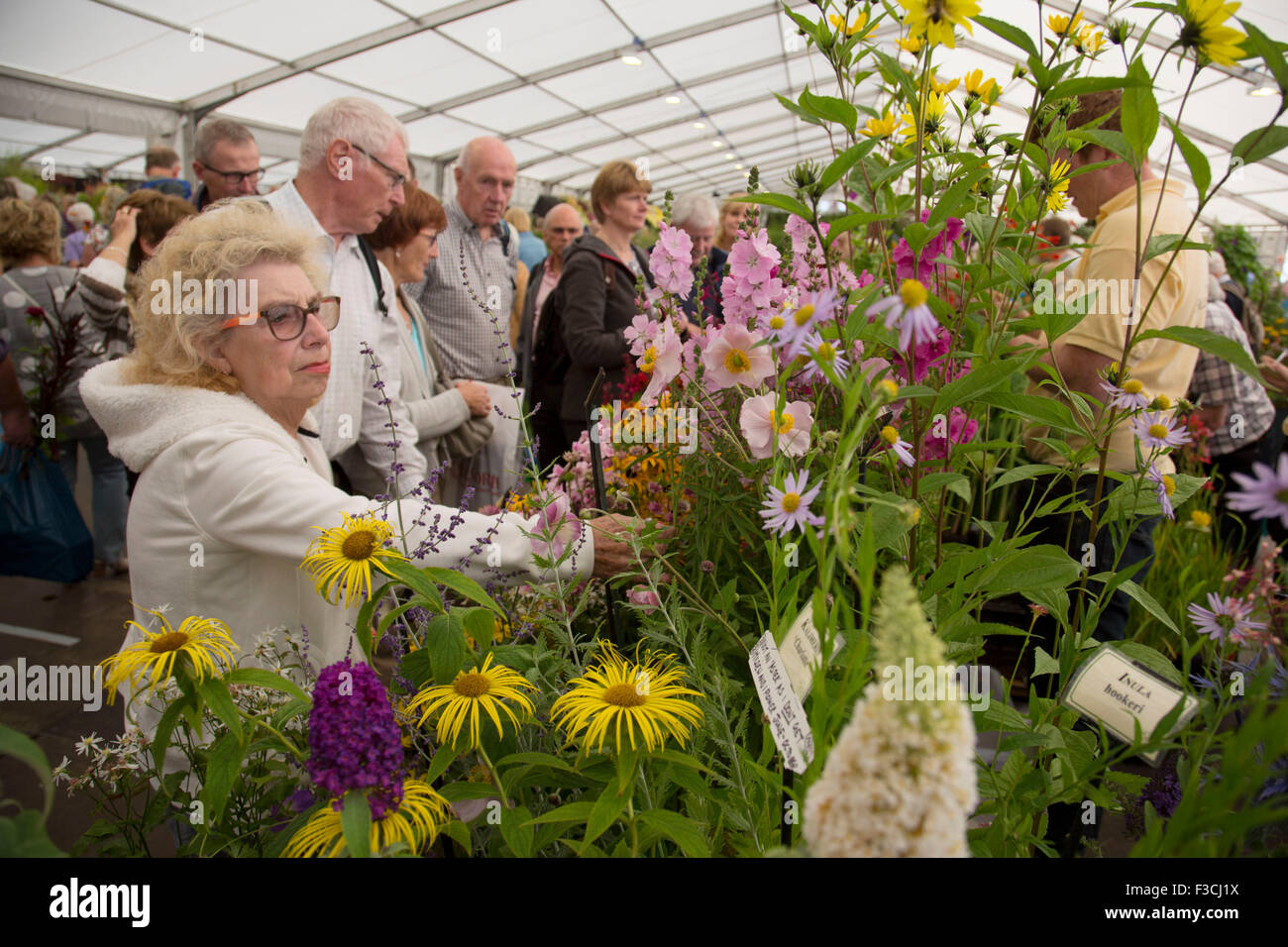 Harrogate Flower Show, North Yorkshire, England, UK. The Plant Pavilion ...