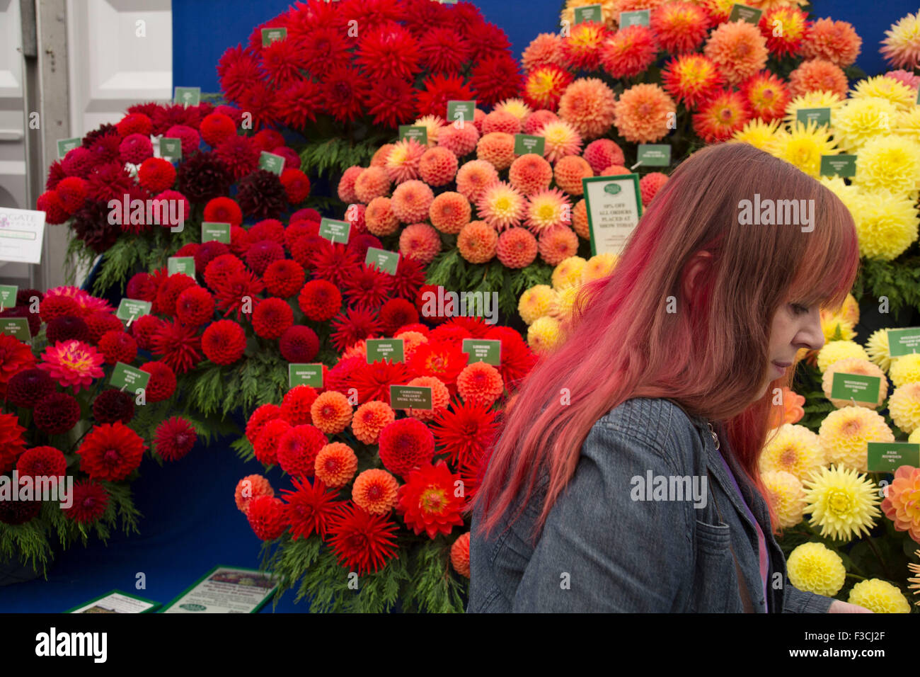 Harrogate Flower Show, North Yorkshire, England, UK. The Plant Pavilion ...