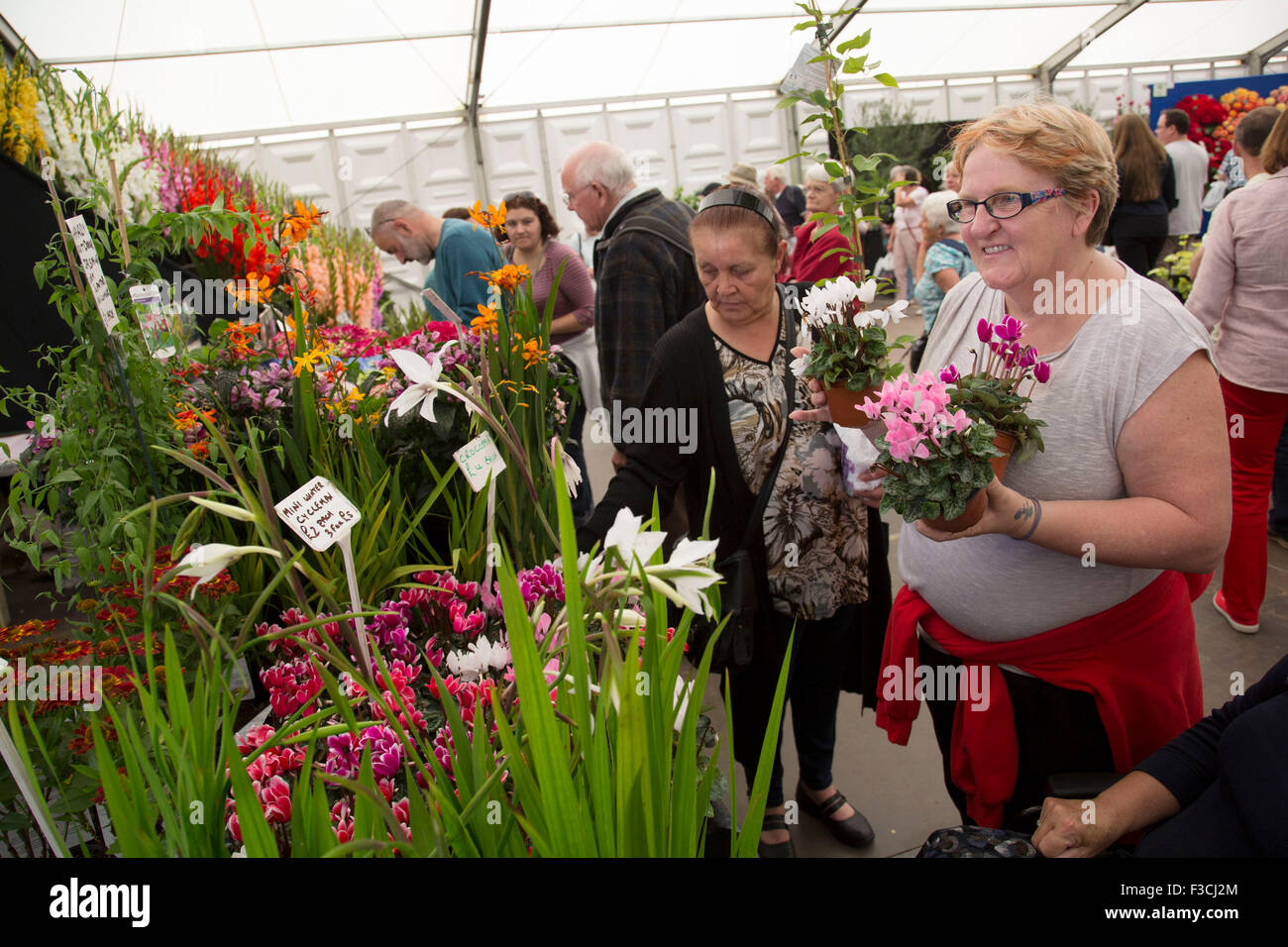 Harrogate Flower Show, North Yorkshire, England, UK. The Plant Pavilion ...