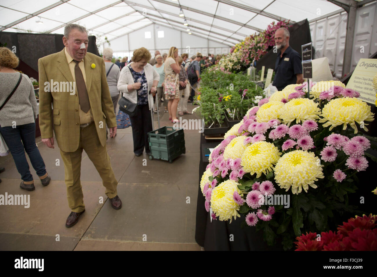 Harrogate Flower Show, North Yorkshire, England, UK. The Plant Pavilion ...