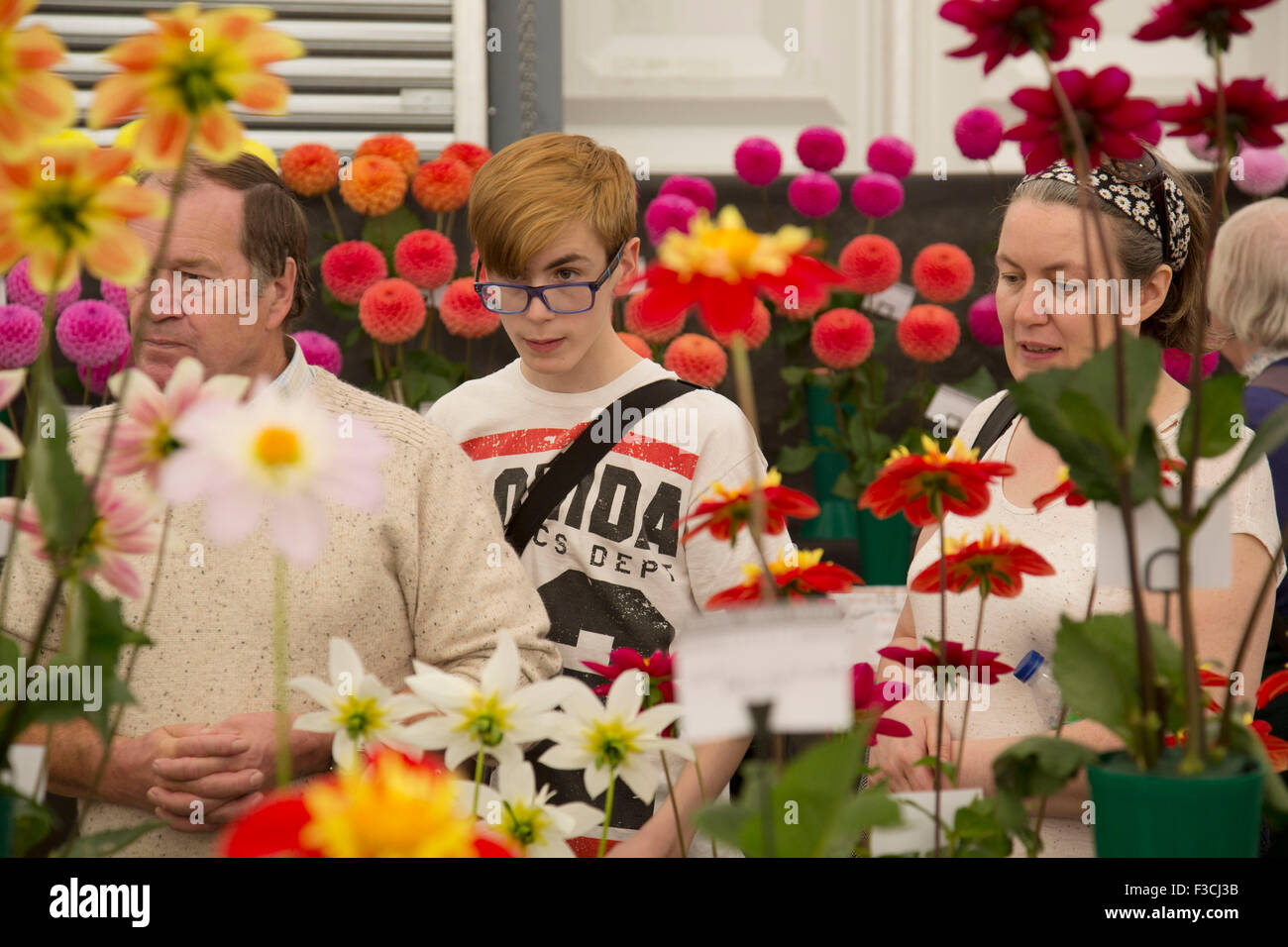 Harrogate Flower Show, North Yorkshire, England, UK. The Plant Pavilion ...