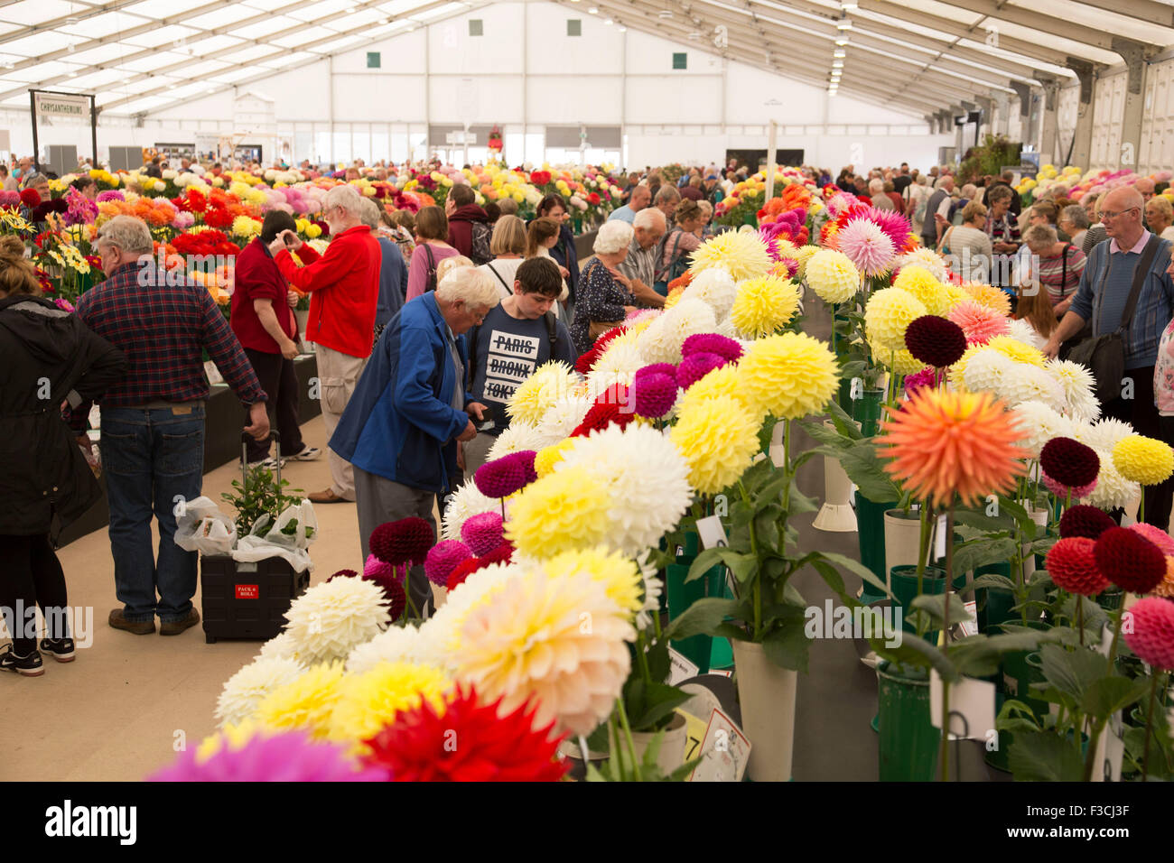 Harrogate Flower Show, North Yorkshire, England, UK. The Plant Pavilion ...