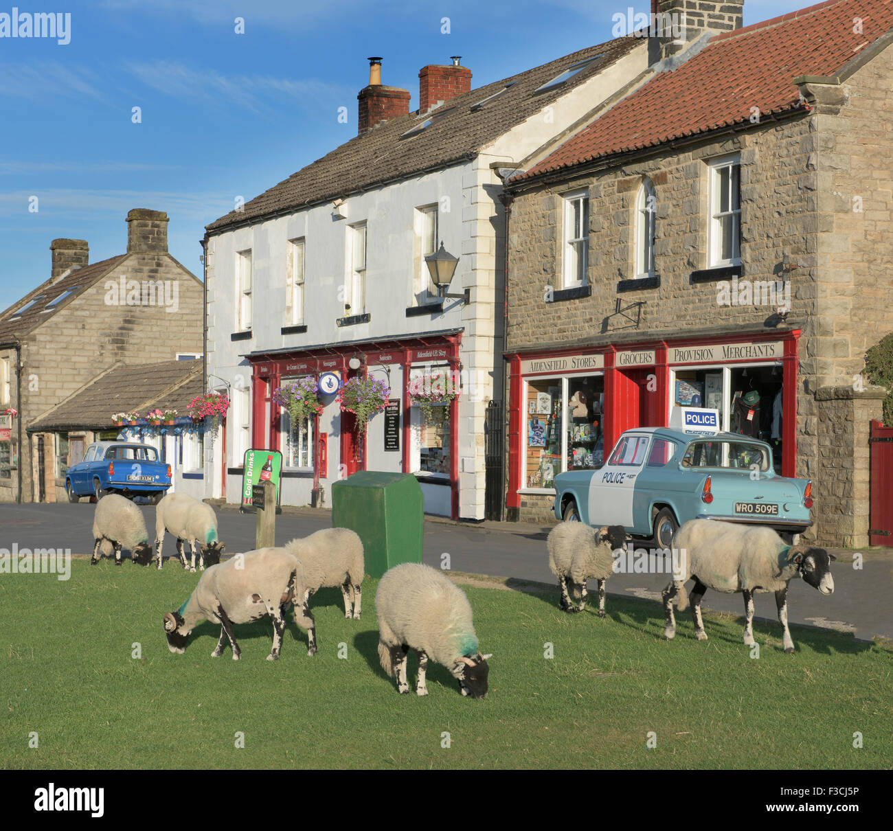Village of Goathland which is well known for the sheep that have access ...