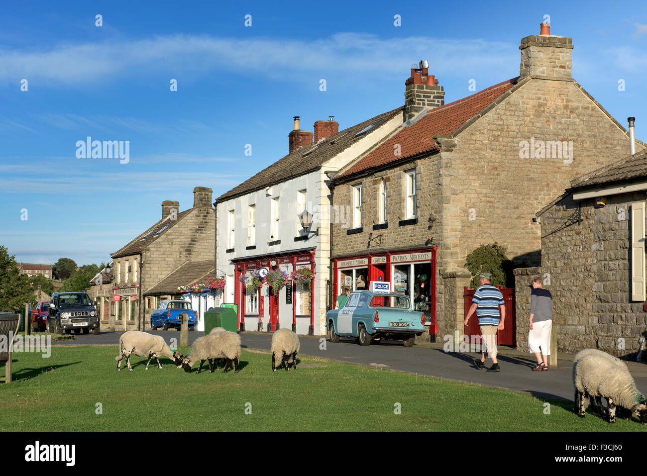Village of Goathland which is well known for the sheep that have access ...