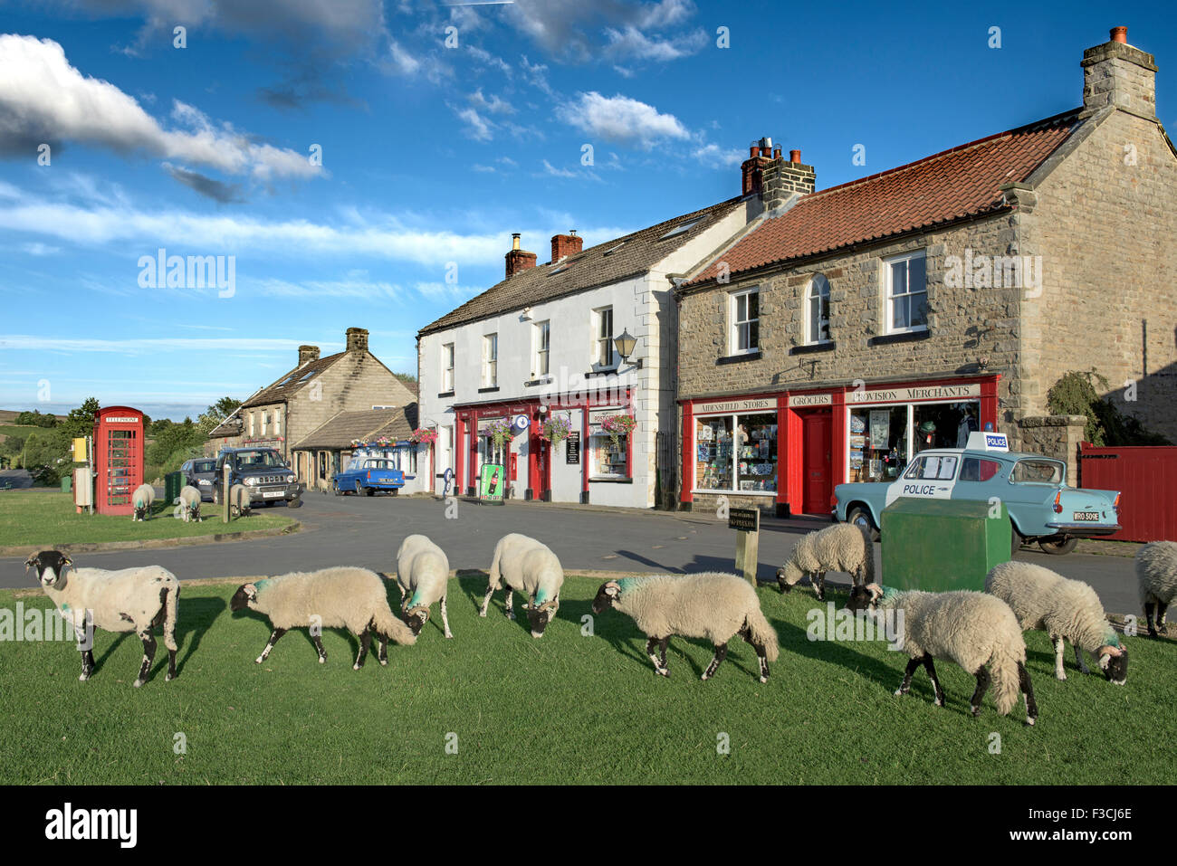 Village of Goathland which is well known for the sheep that have access ...