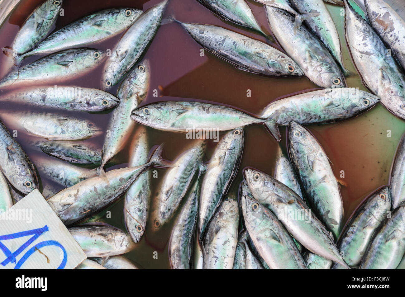 Mackerel scales hi-res stock photography and images - Alamy