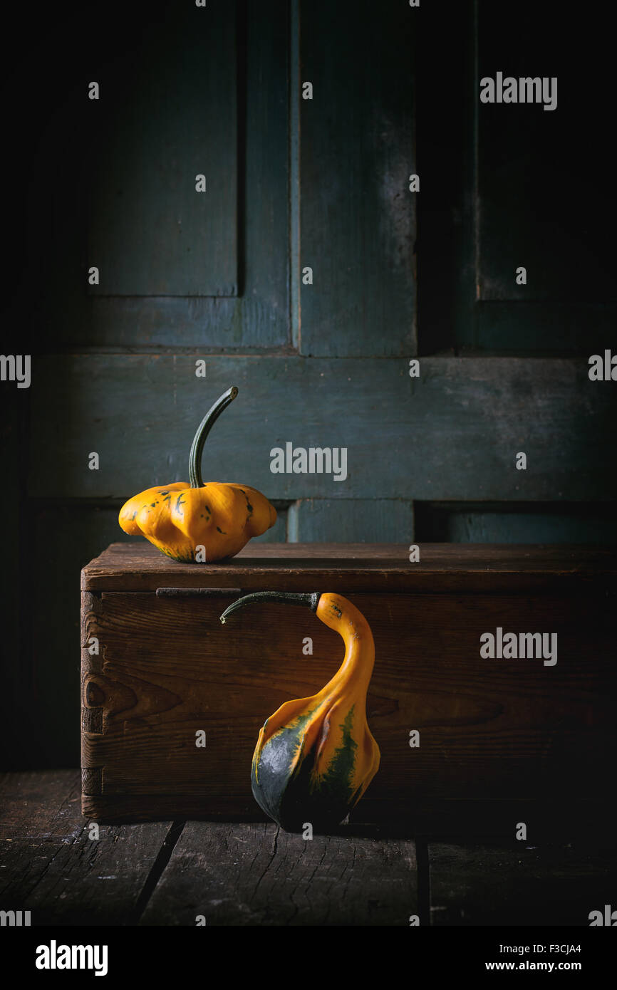 Two decorative pumpkins hi-res stock photography and images - Alamy