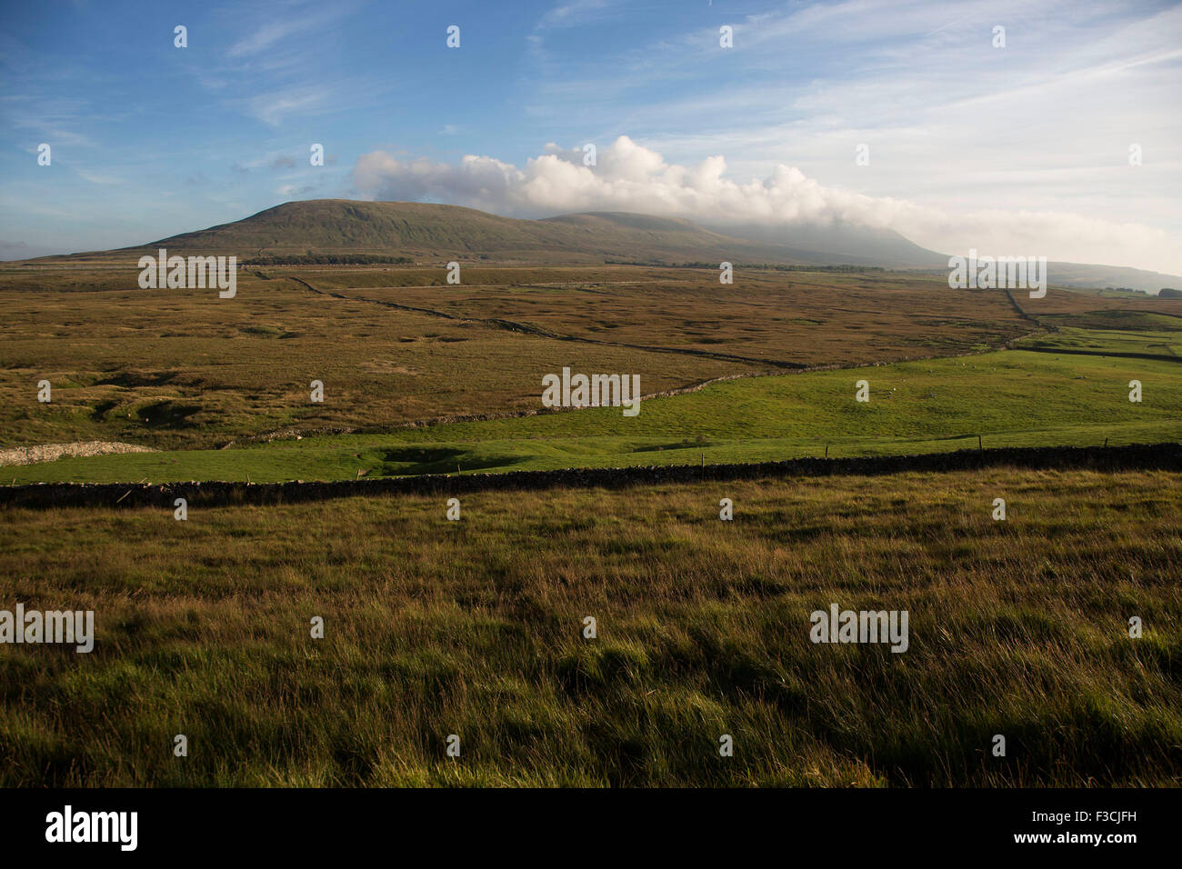 Ingleborough is the second highest mountain in the Yorkshire Dales, at ...