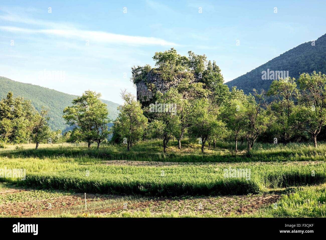 Ruins of old watchtower in Martin Brod Stock Photo - Alamy Ruins of old watchtower in Martin Brod Stock Photo - Alamy