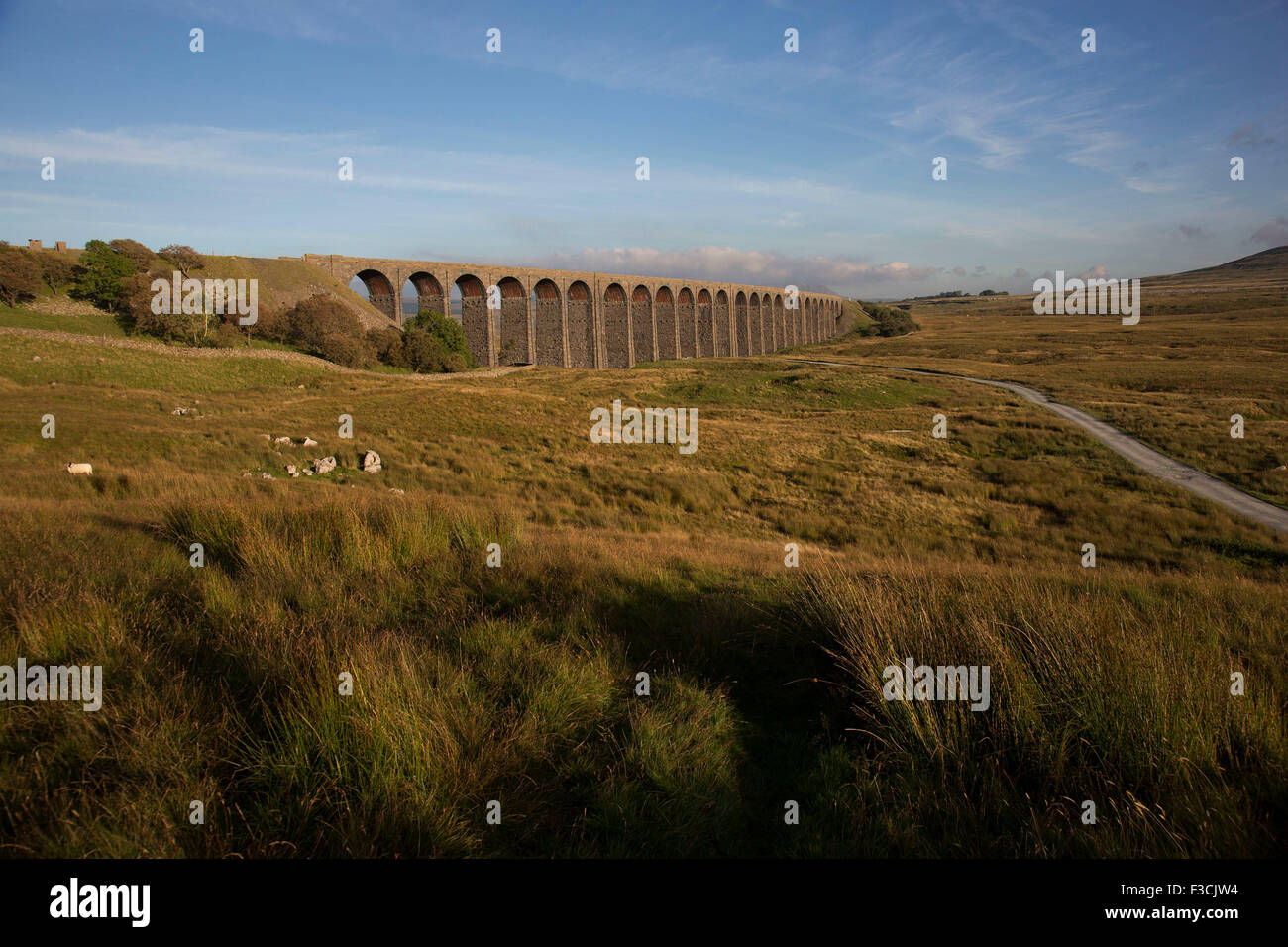 Ribblehead Viaduct or Batty Moss Viaduct carries the Settle-Carlisle ...