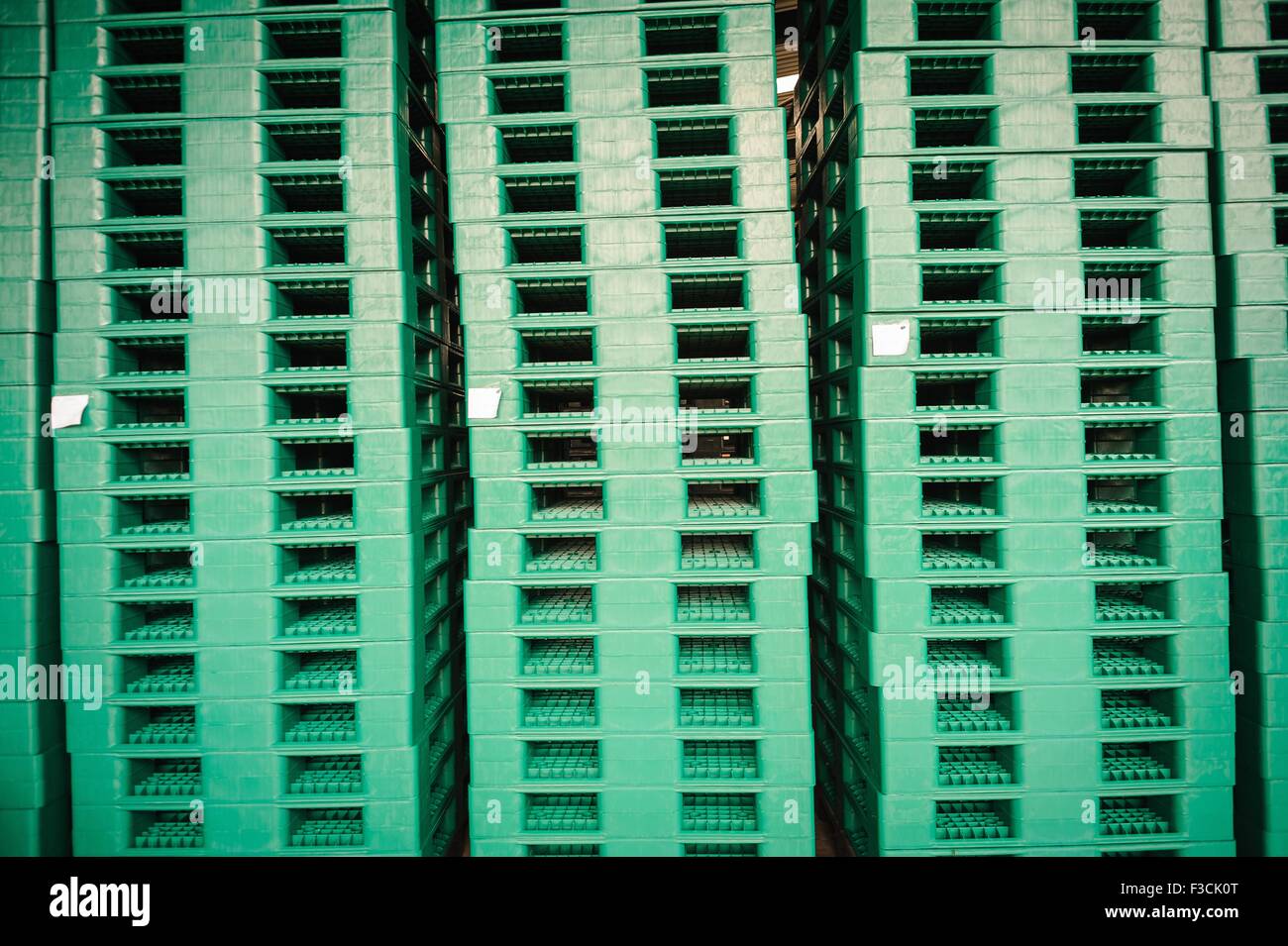 Green plastic pallets in warehouses, sorted and delivered Stock Photo ...