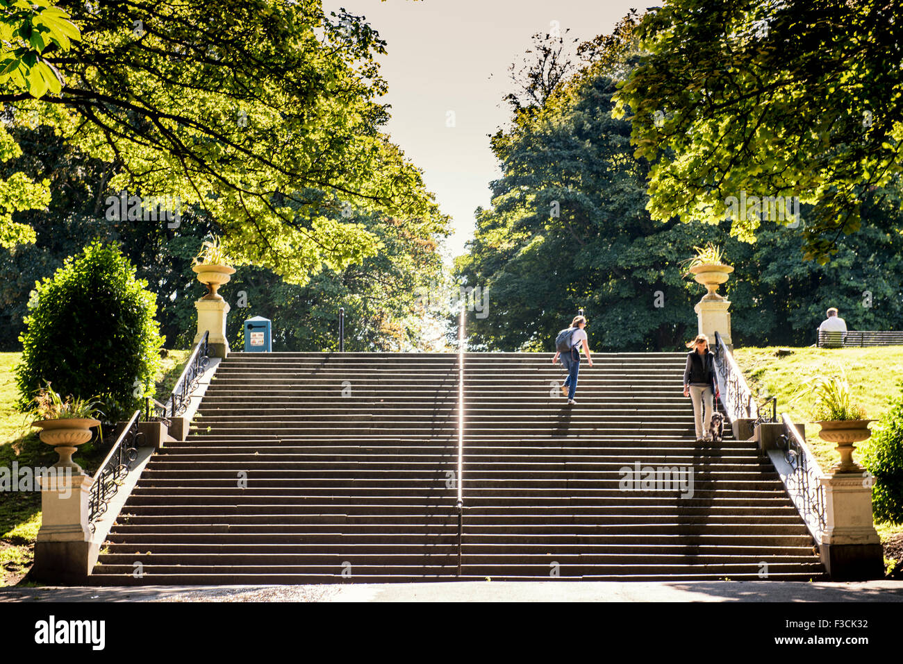 Sunlit steps, Queens Park, Glasgow, UK Stock Photo - Alamy