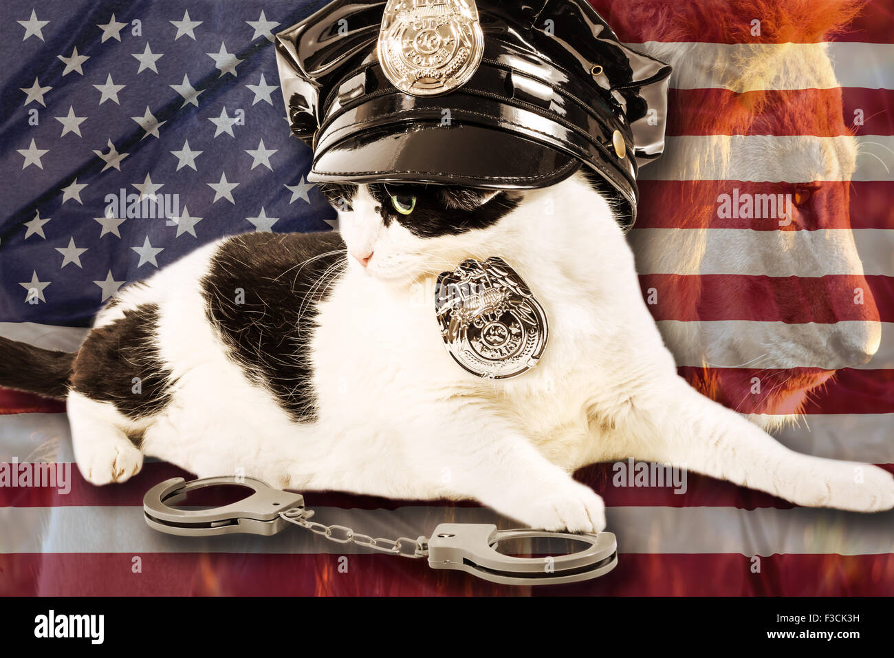 Brave Cop Cat Stock Photo - Alamy