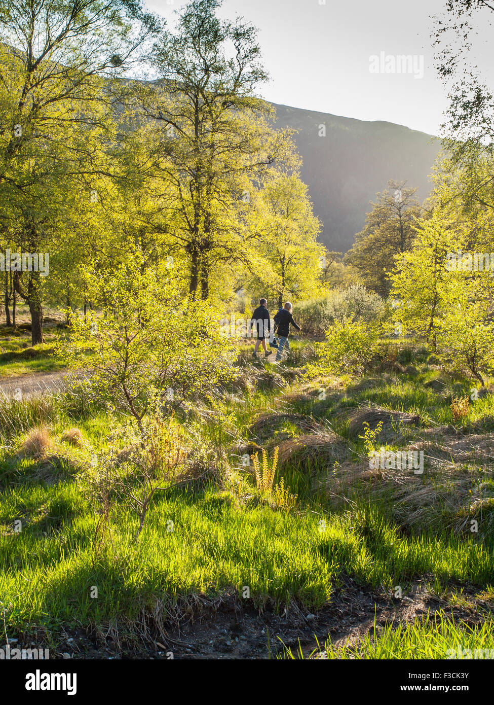 Walking in British spring sunshine Stock Photo - Alamy