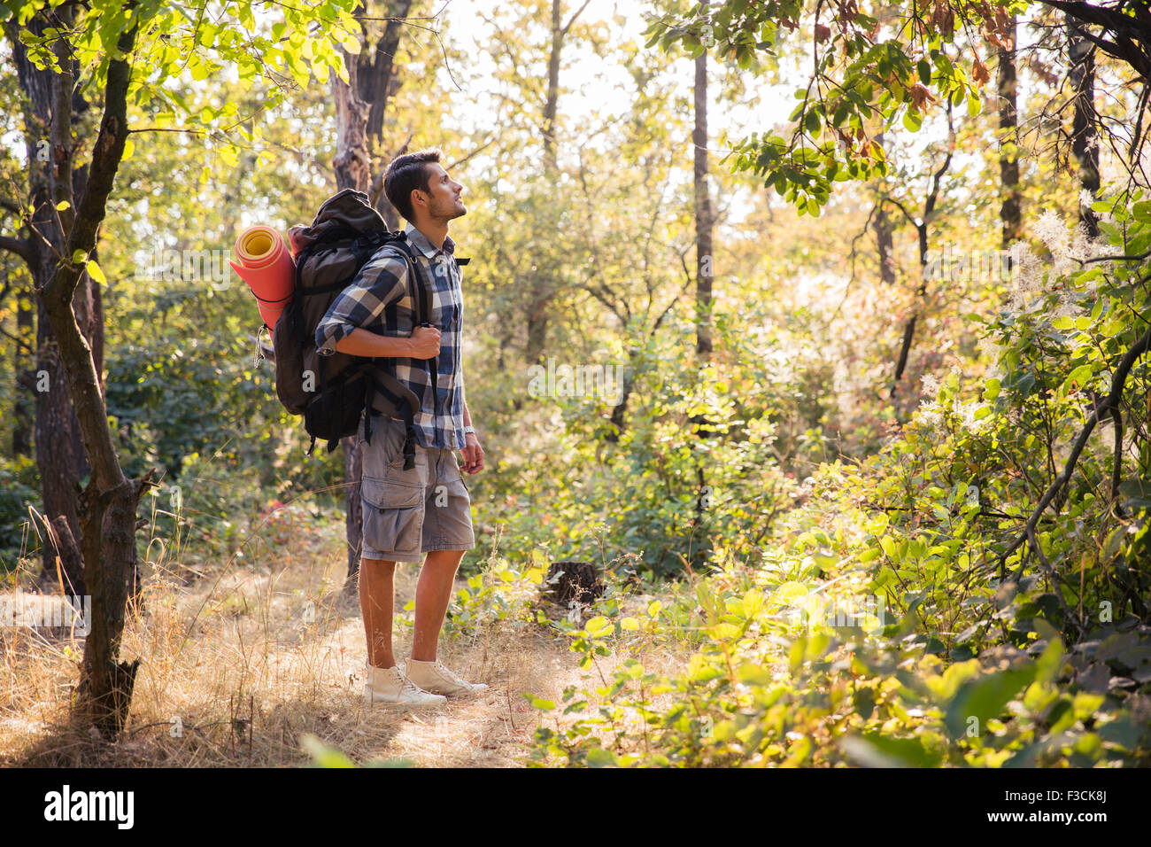 Portrait of a male hiker walking in the forest Stock Photo - Alamy