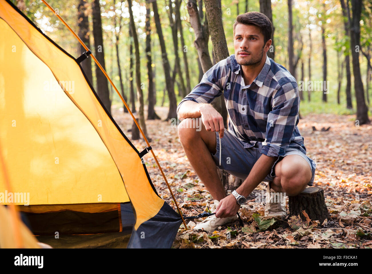 Portrait of a handsome man setting up a tent and looking away in forest ...