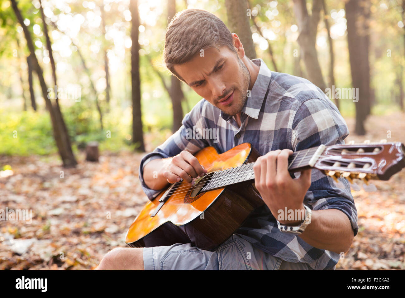 Guitar forest hi-res stock photography and images - Alamy