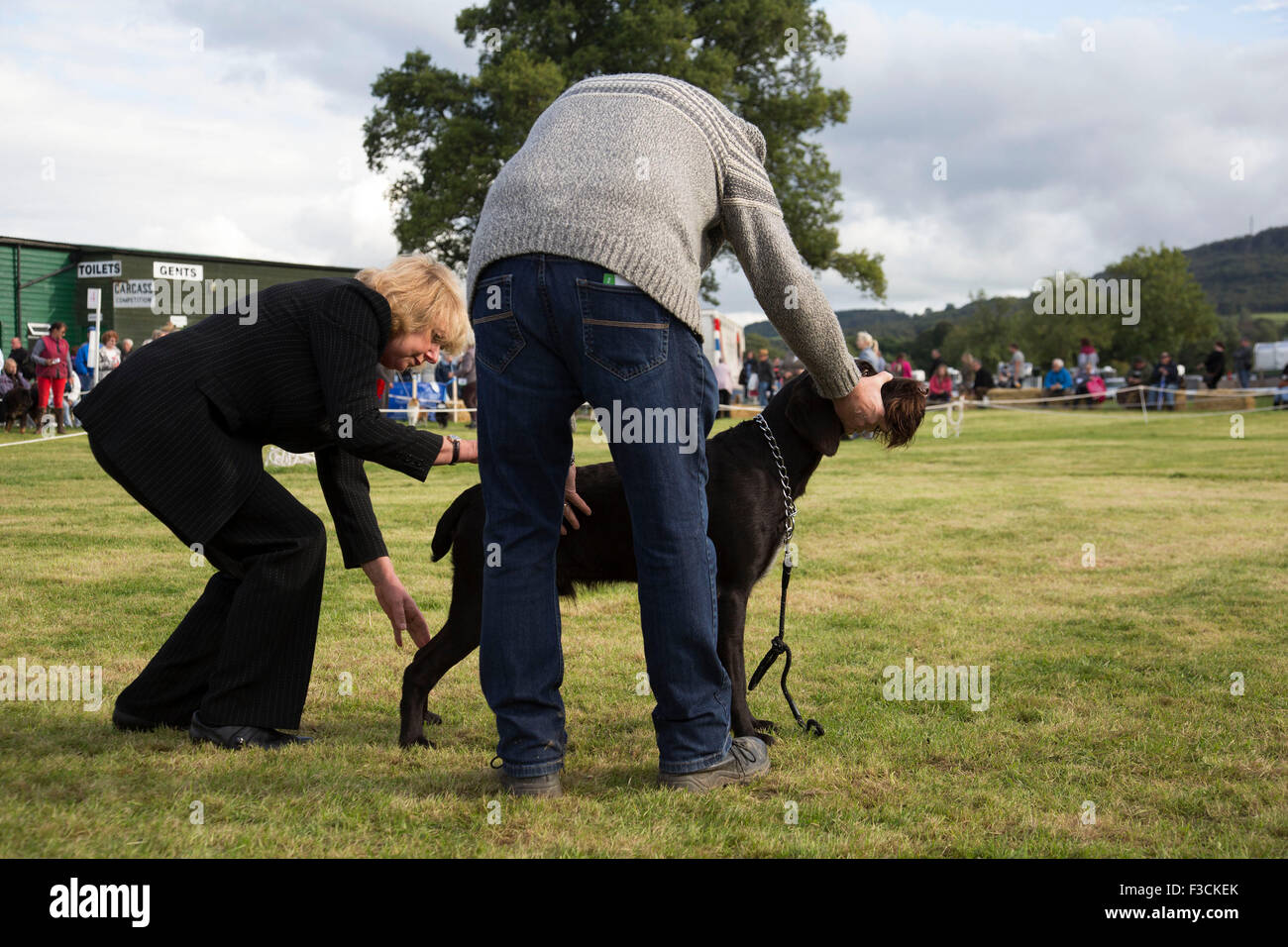 Pateley bridge nidderdale showground hi-res stock photography and ...