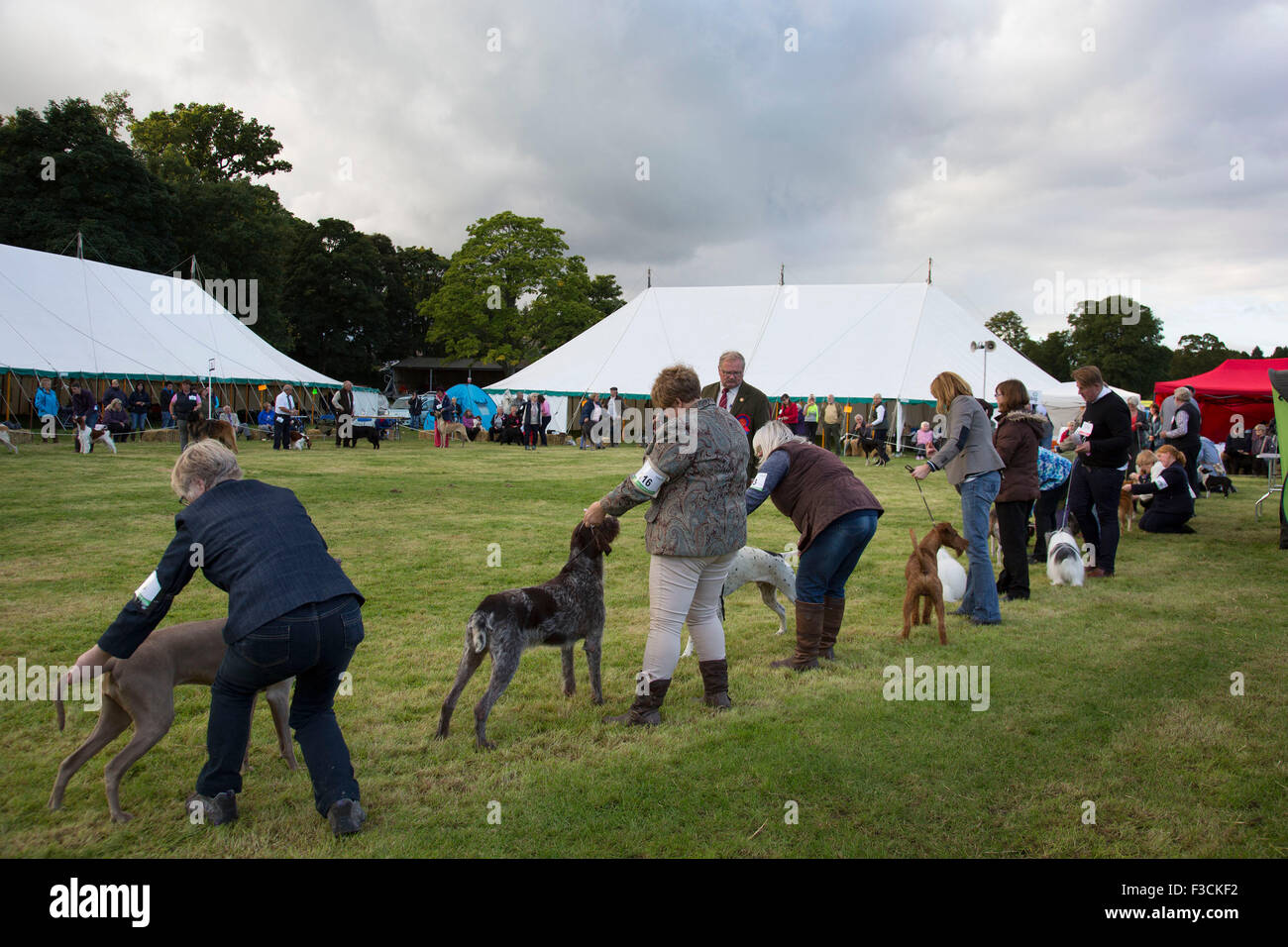 Pateley bridge nidderdale showground hi-res stock photography and ...