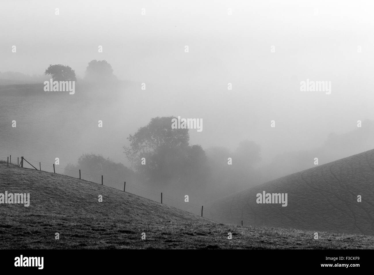 Devon hedge bank Black and White Stock Photos & Images - Alamy