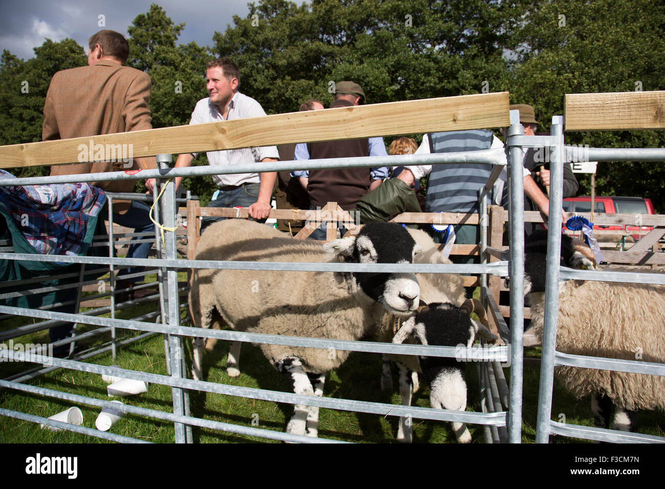 Nidderdale show pateley bridge hi-res stock photography and images - Alamy