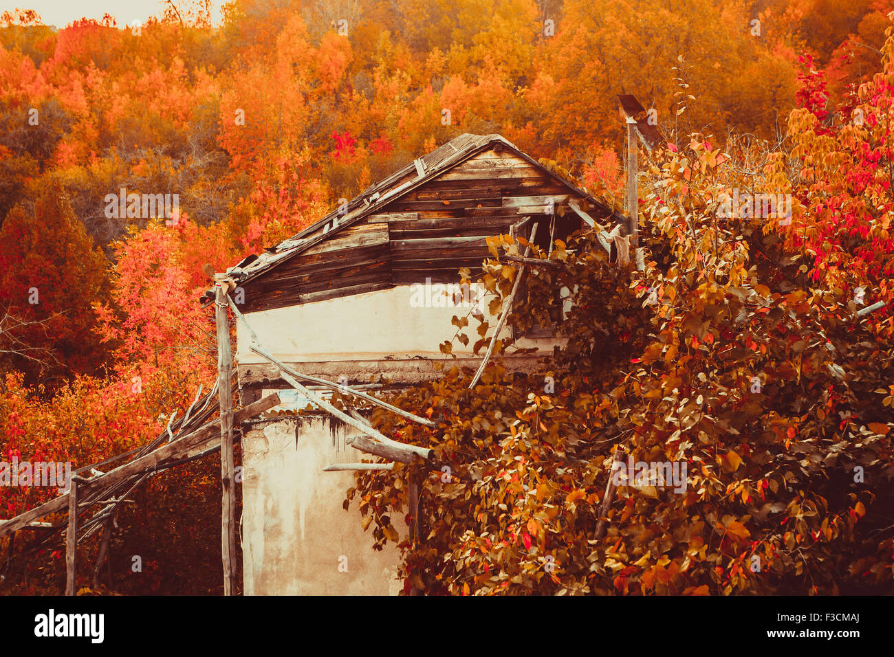 An old building in golden Fall colors Stock Photo - Alamy