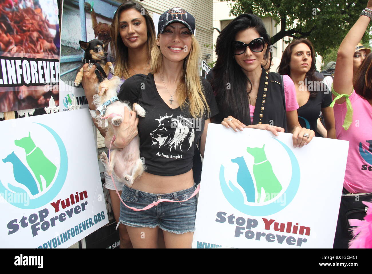 Angela daun hi-res stock photography and images - Alamy