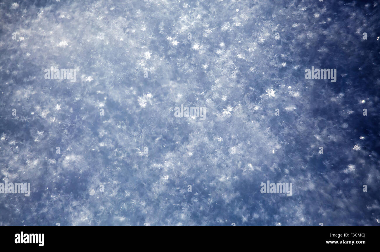 Winter background of shiny snow Stock Photo - Alamy