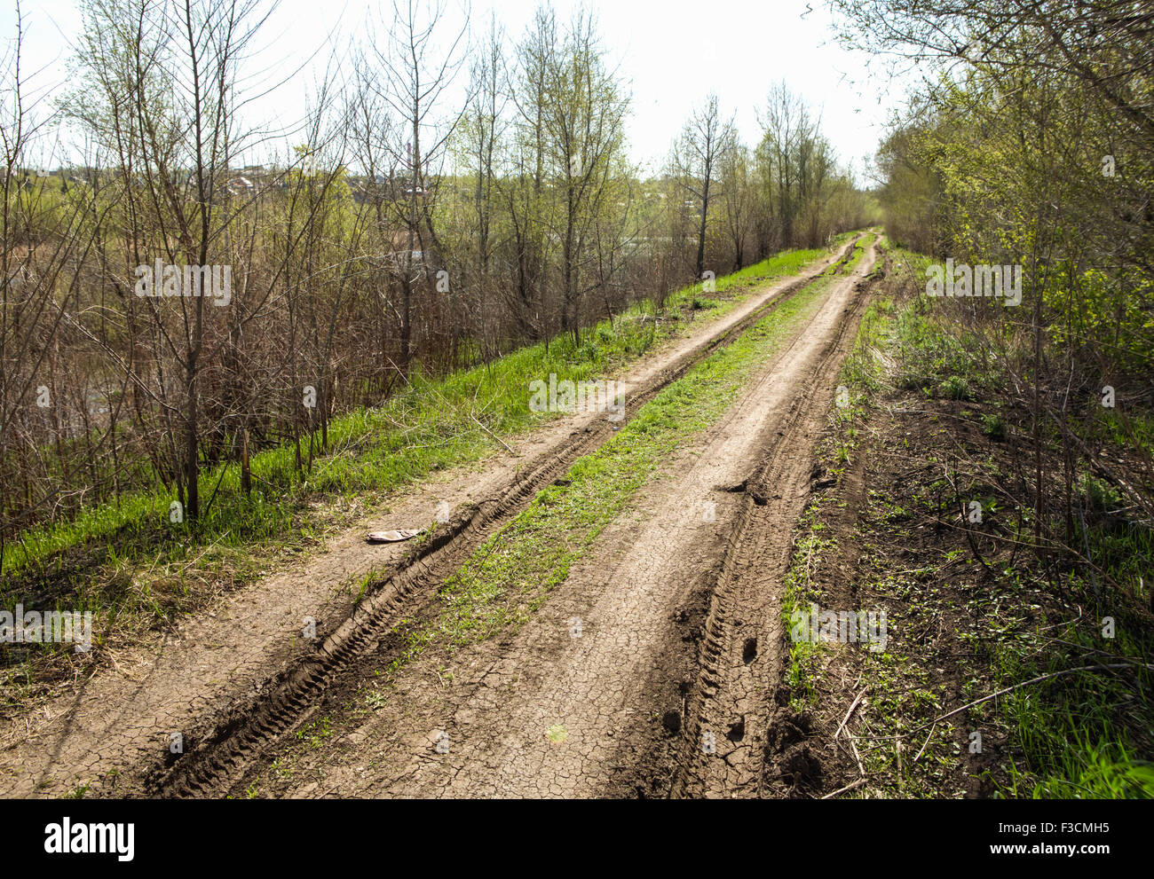 Empty countryside road through fields with wheat Stock Photo - Alamy
