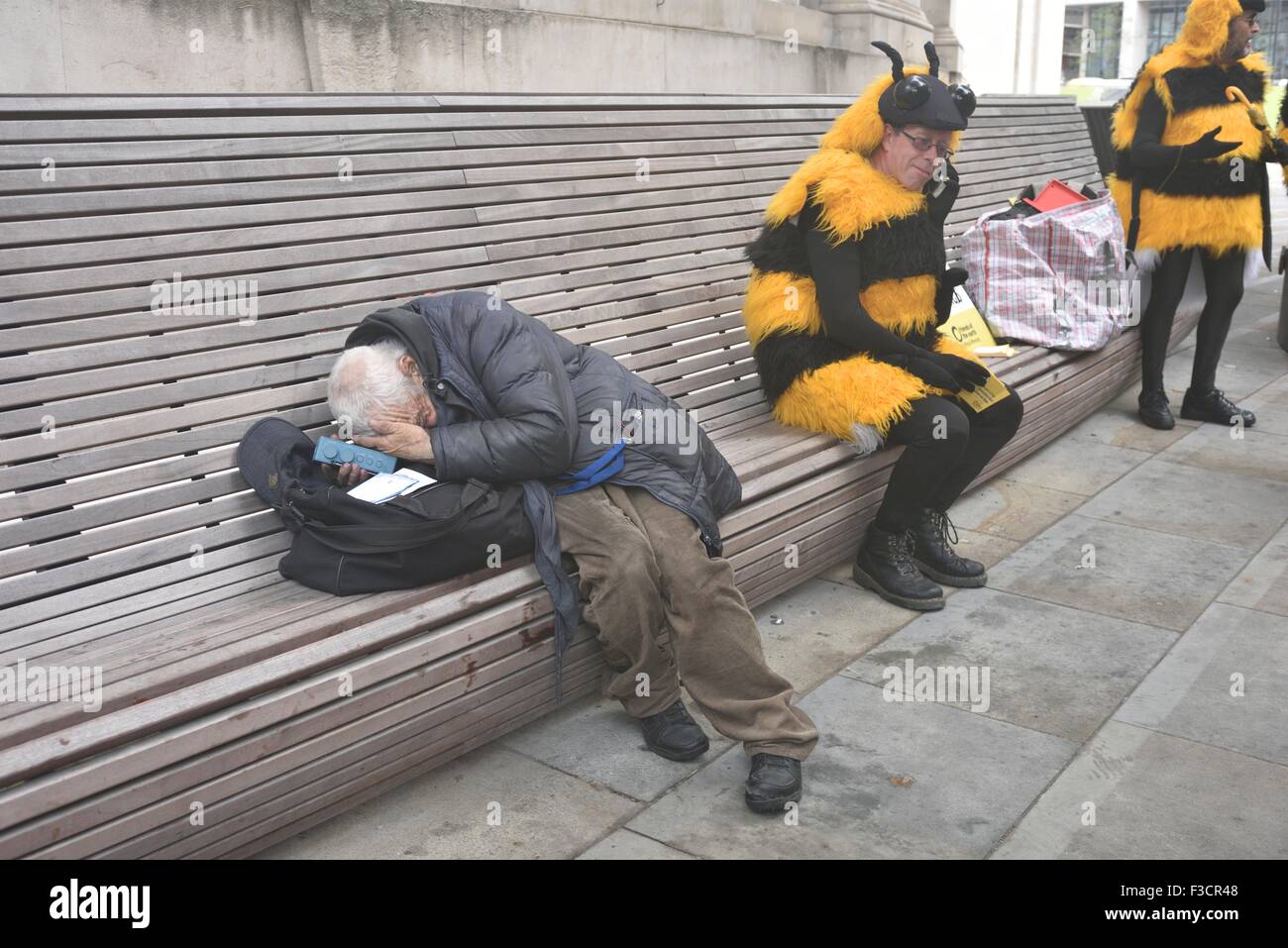 Homeless bee hi-res stock photography and images - Alamy