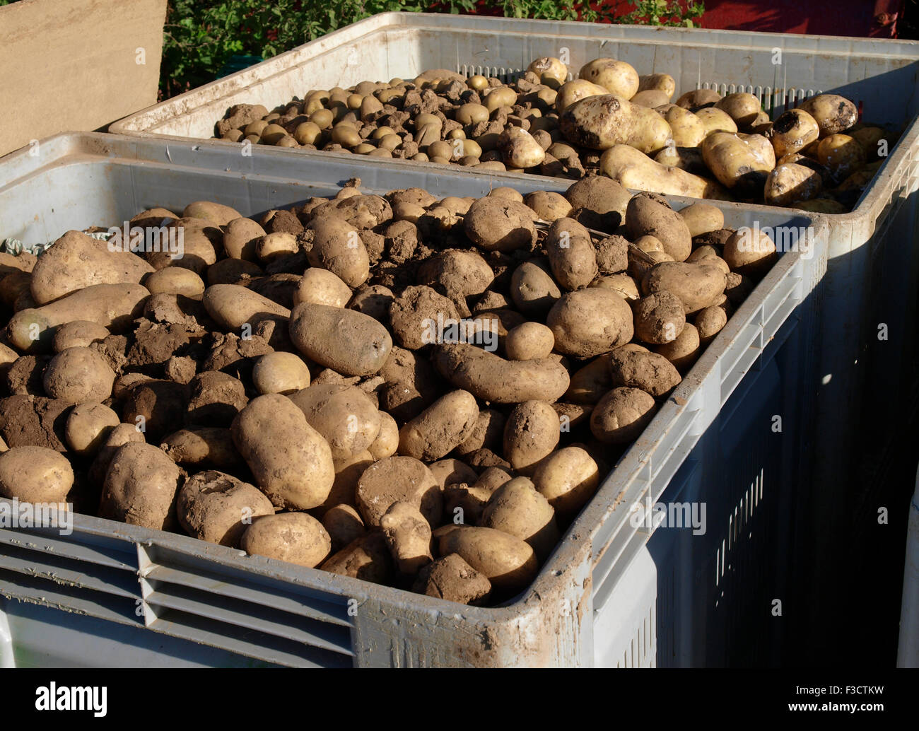 Farm crates hi-res stock photography and images - Alamy