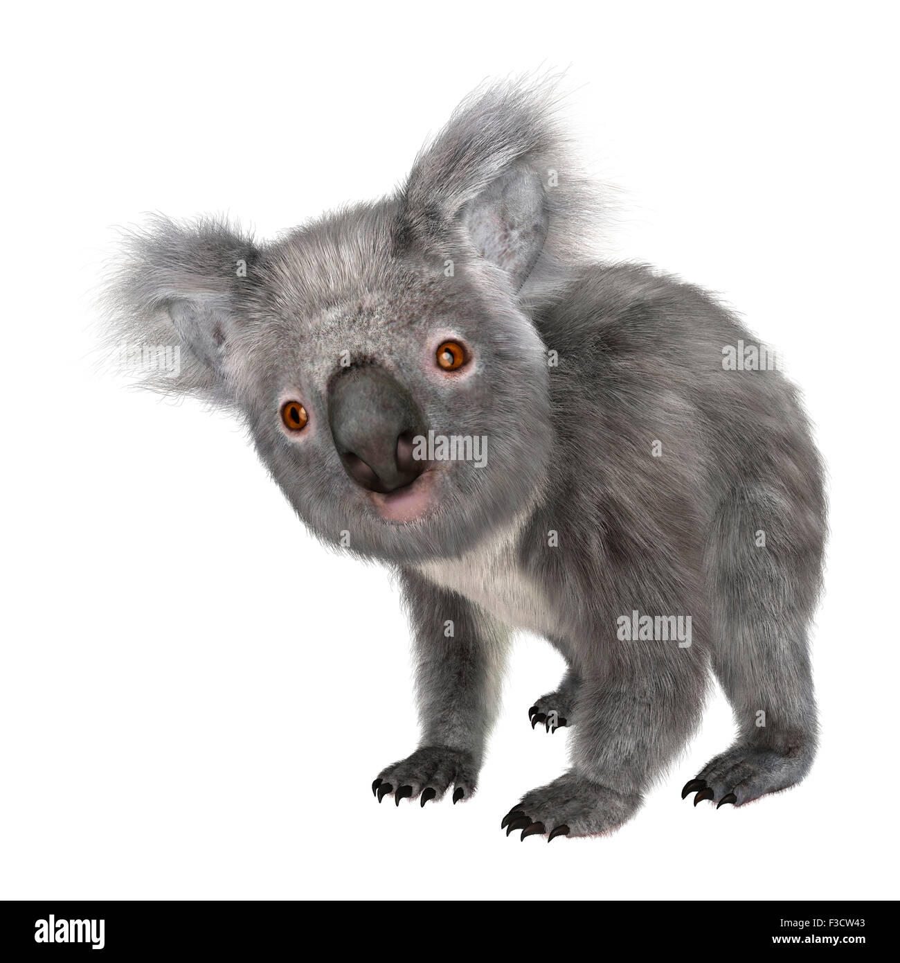 3D digital render of a cute koala isolated on white background Stock ...