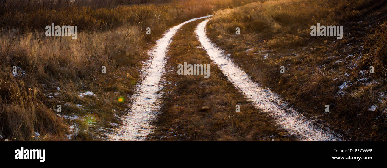 Crisp cold morning birch hi-res stock photography and images - Alamy