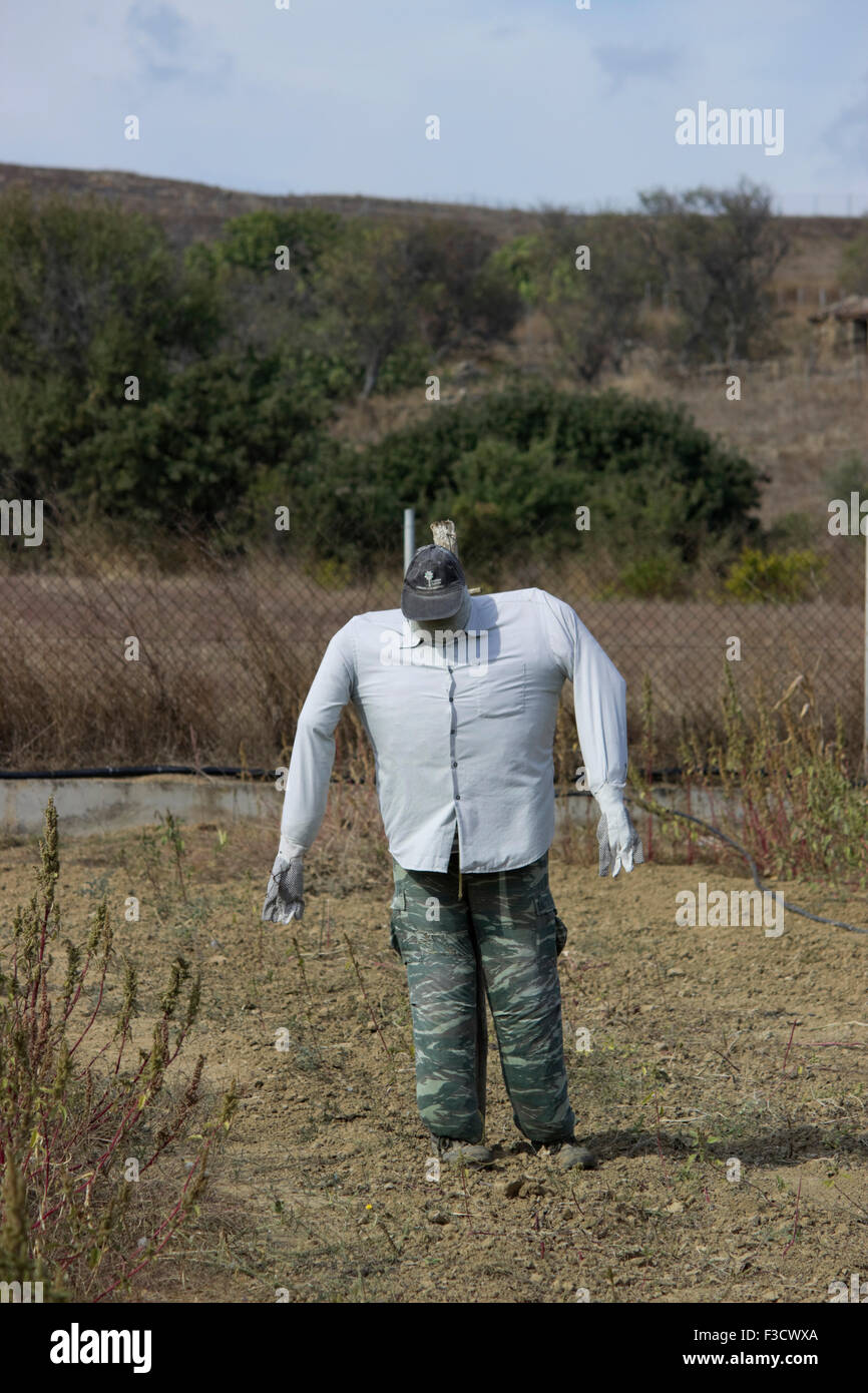 Vertical copyspace shot of a scarecrow standing between crops in a ...