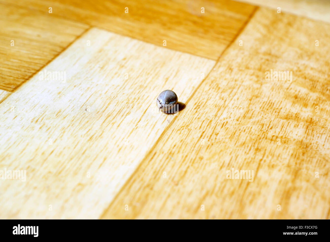 FULL TICK INVERTED Stock Photo - Alamy