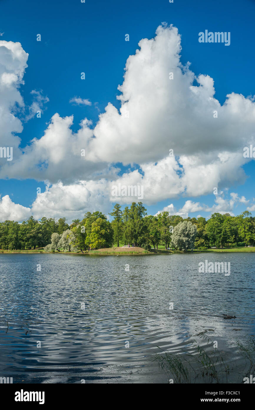 Beautiful russian landscape with willows Stock Photo - Alamy