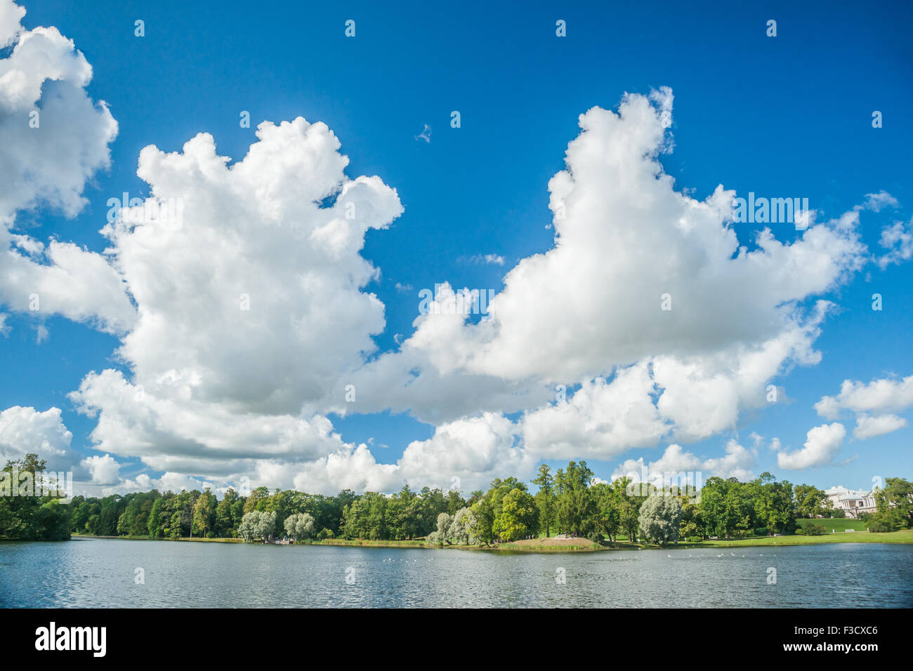 Beautiful russian landscape with willows Stock Photo - Alamy