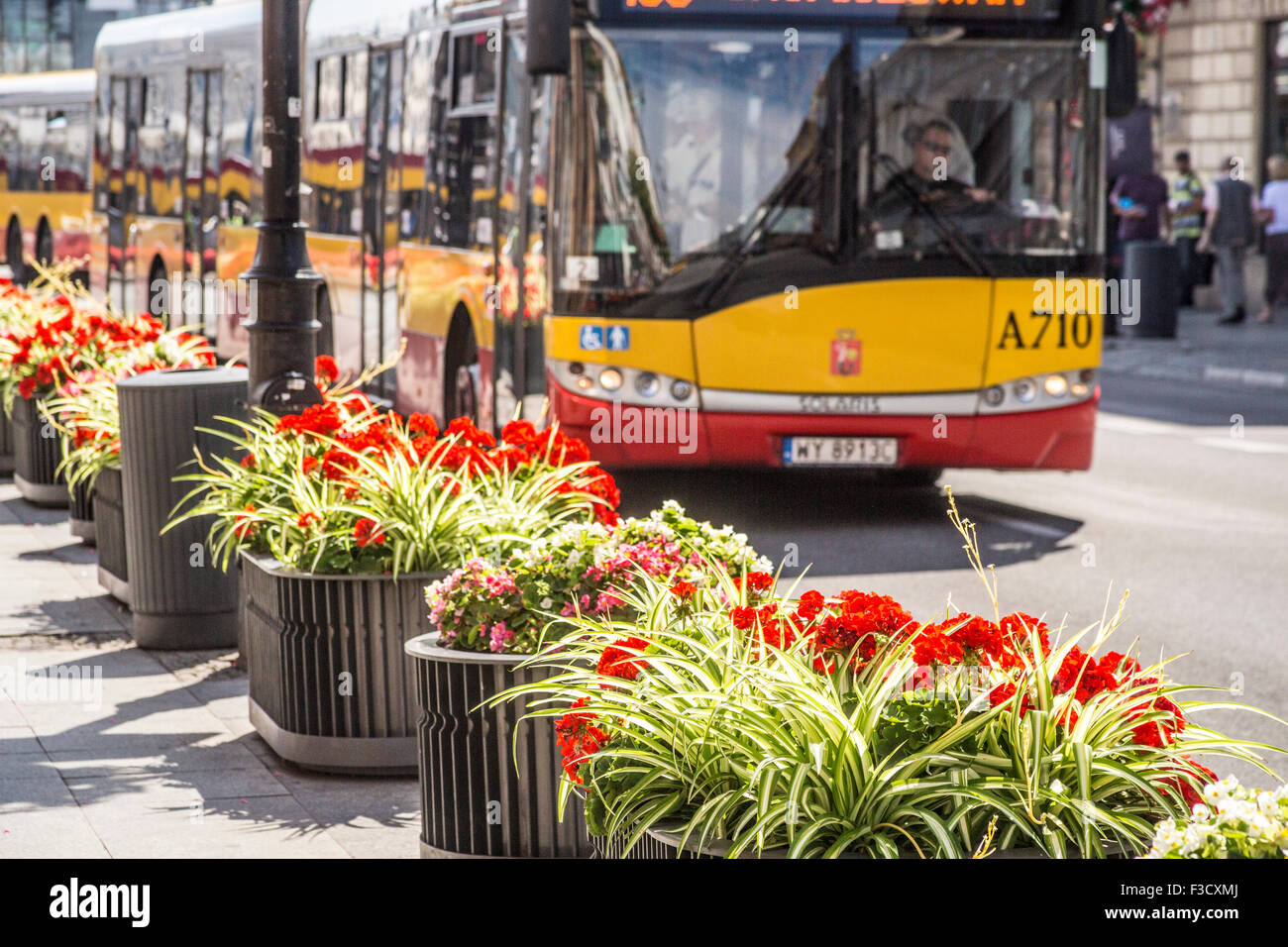Bus and buses on Swiat Nowy street in downtown Warsaw Poland Stock ...