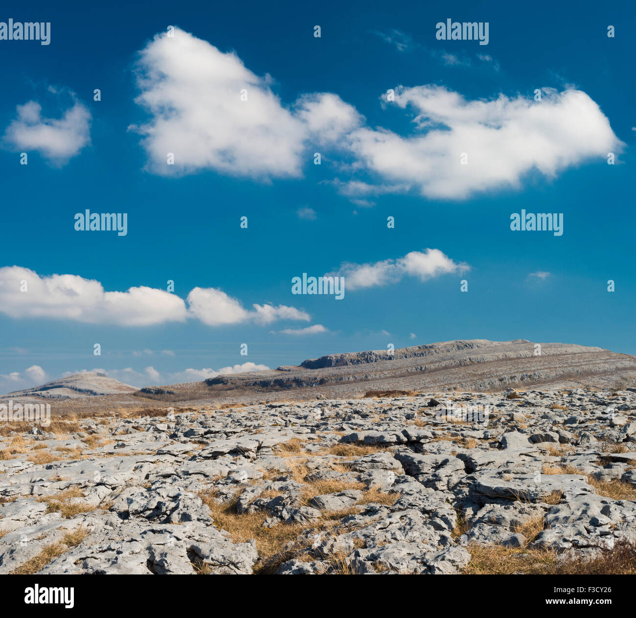 View towards Mullaghmore Mountain, from Gortlecka, the Burren, County ...